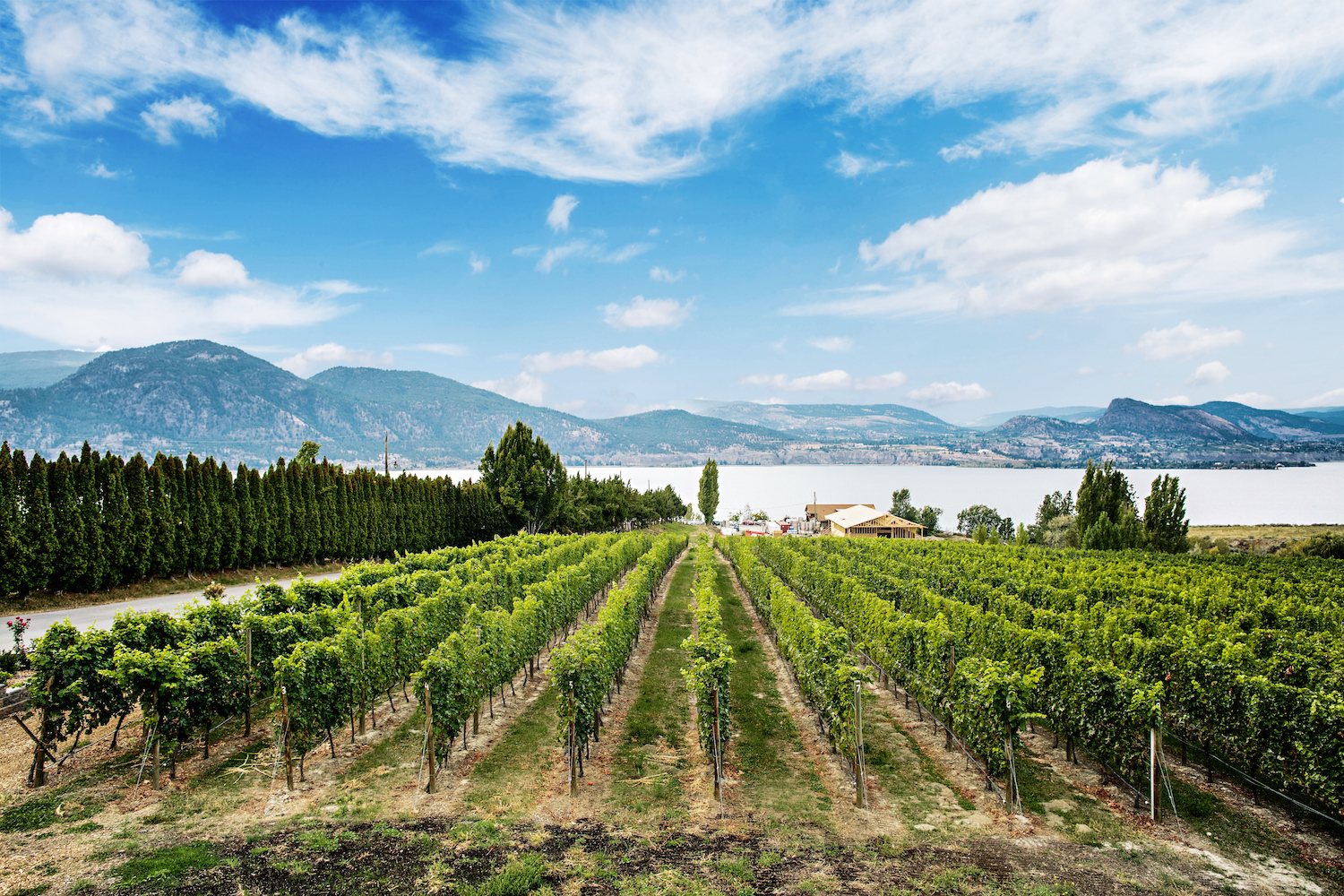 Bench 1775 Winery - Visit Penticton