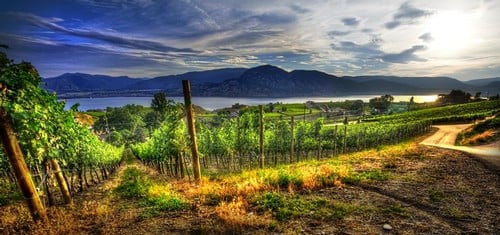 Wineries - Visit Penticton
