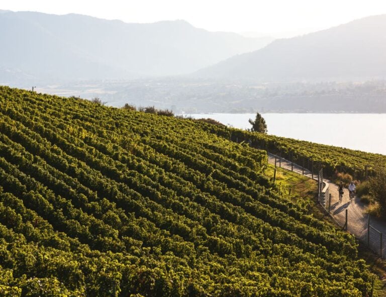 Kettle Valley Rail Trail - Visit Penticton