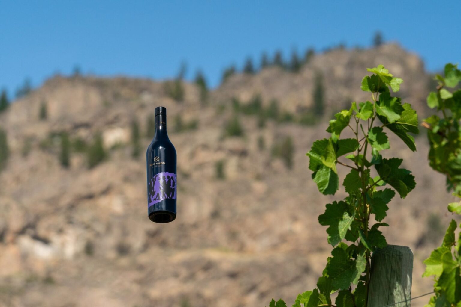 Red Barn Winery - Visit Penticton