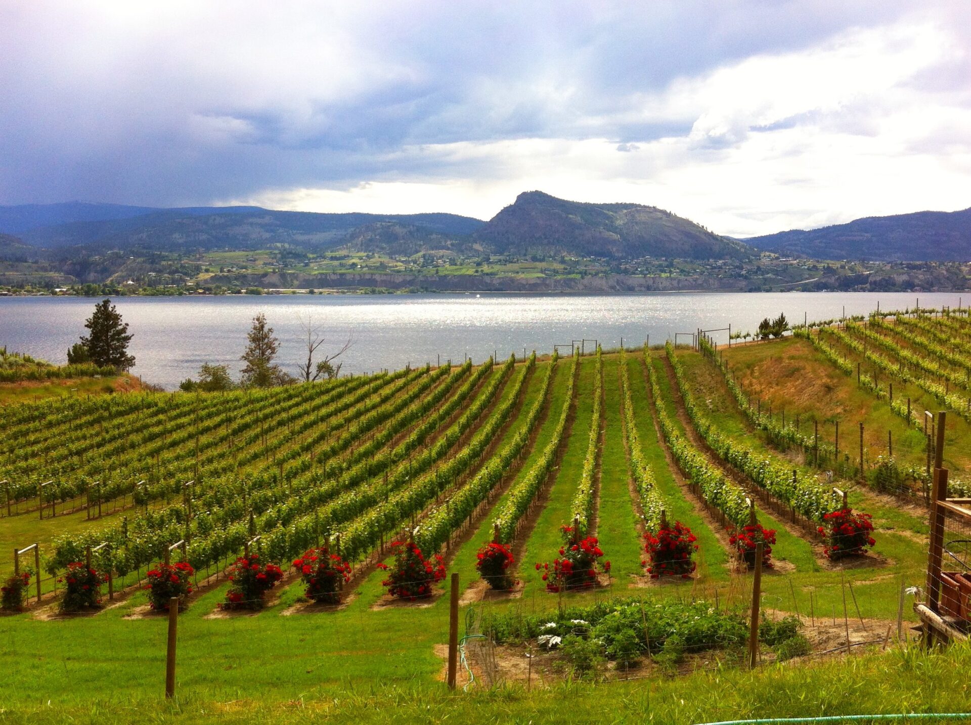 Okanagan Fall Wine Festival 2024 - Visit Penticton
