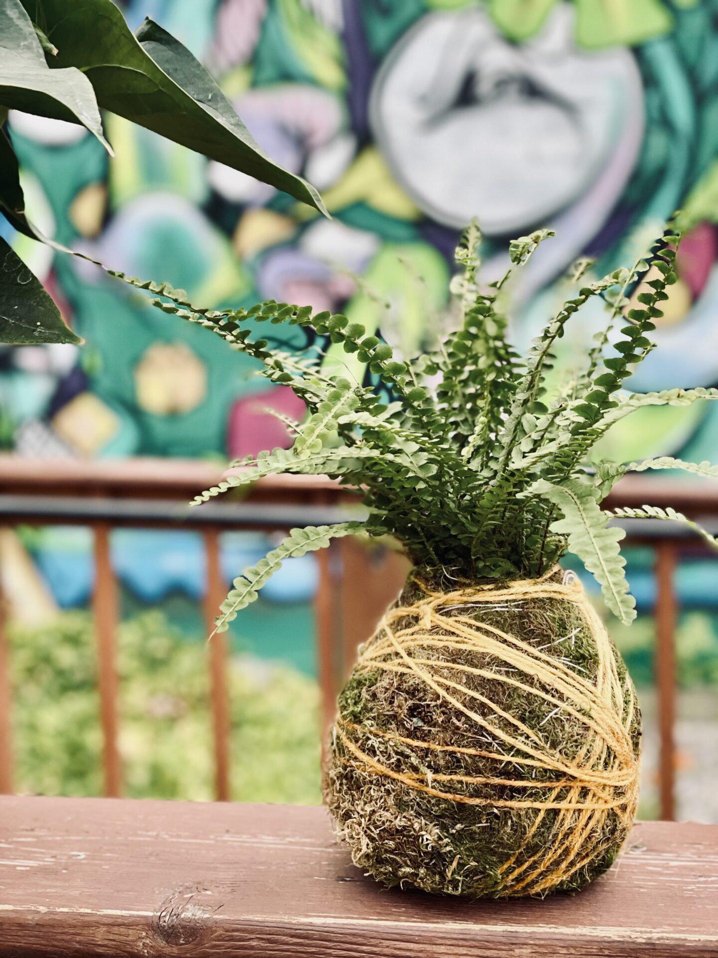 Kokedama Moss Ball Workshop at Sahara Garden Art - Visit Penticton