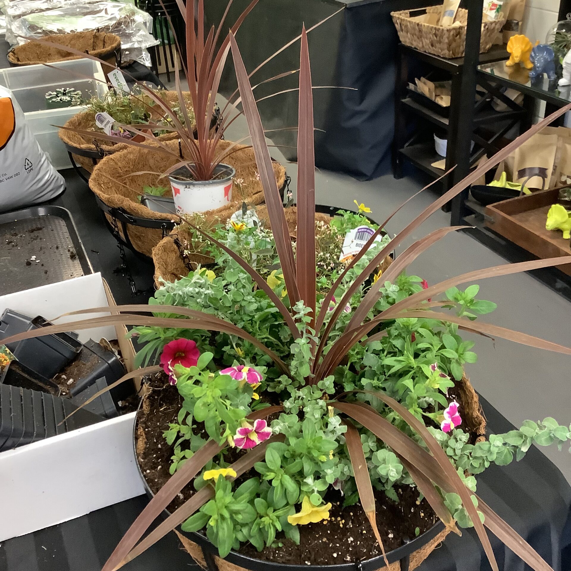 Mother’s Day Spring Hanging Basket Workshop at Sahara Garden Art ...