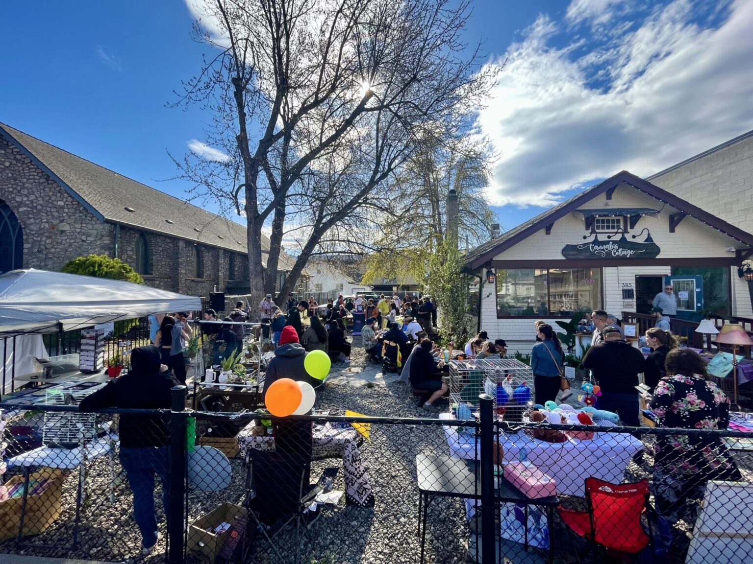 420 Celebration on the POTio at Cannabis Cottage - Visit Penticton