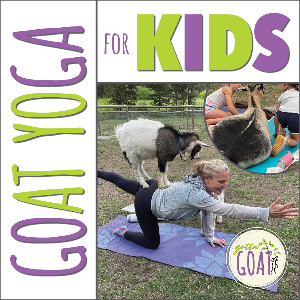 Goat Yoga (GOGA) for Kids at GottaGoat Farm - Visit Penticton